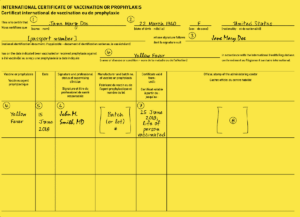 Yellow Fever Vaccine NYC | Travel Medicine Consultations